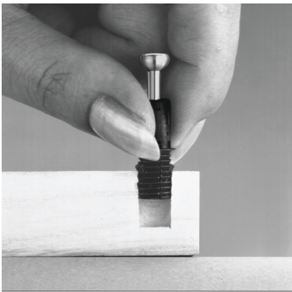 Parafuso Rápido C100/34 (Rapid DU345) para Minifix/Rastex Furo 8x11,5mm ...